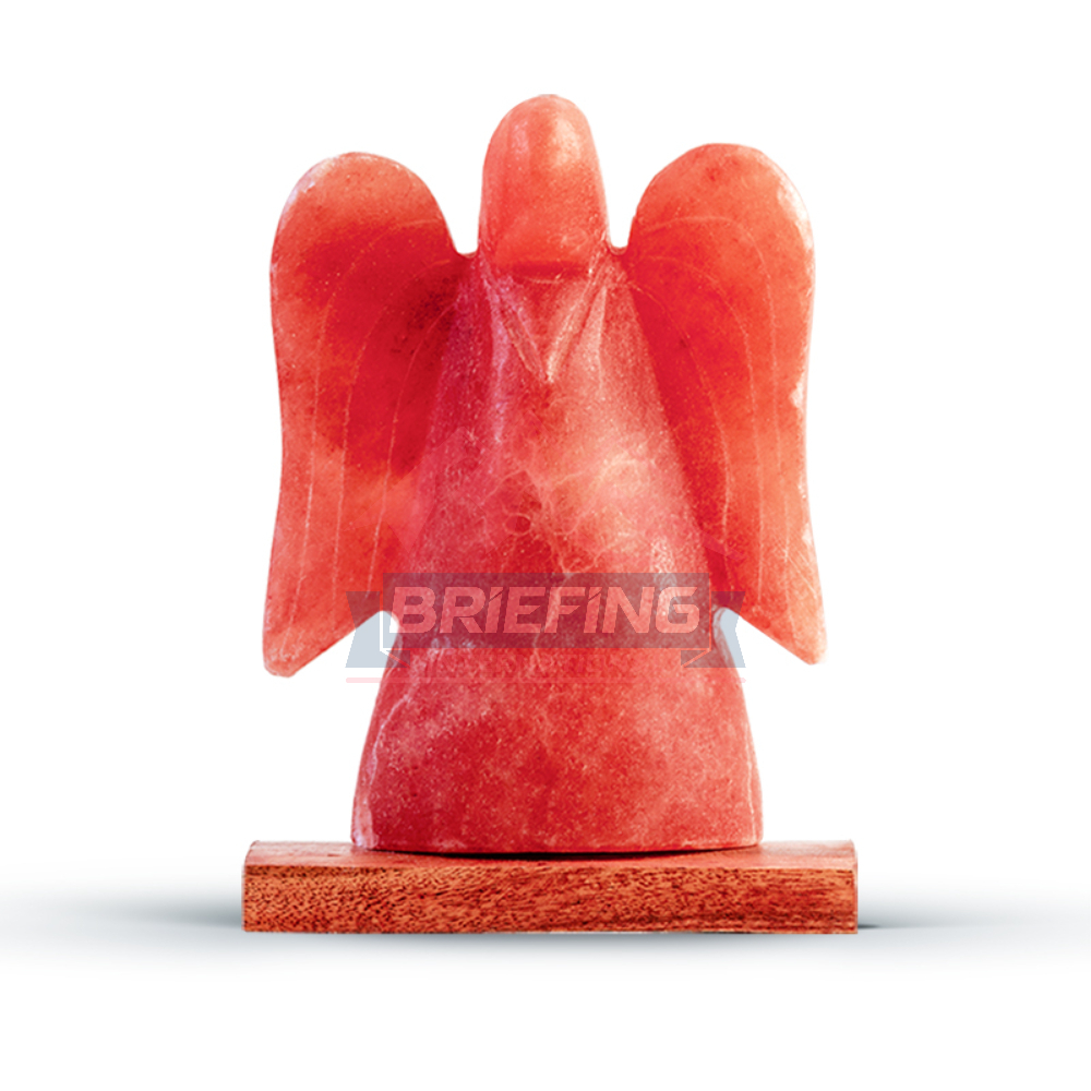 Shop – BRIEFING INTERNATIONAL